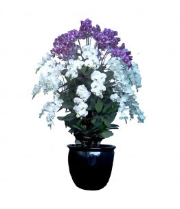 Toko Bunga Papan | 081212648999 | Florist Indonesia | Pesan Bunga